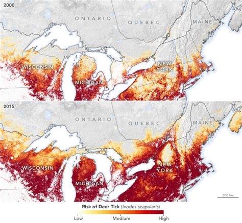 Lyme Disease Map Lyme Disease Diagnosis And Treatment Ifsmed San