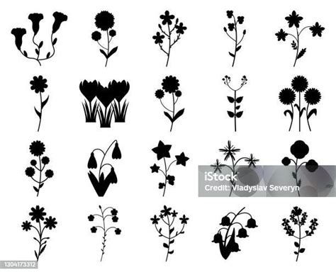 흰색 배경에 고립 된 야생화의 실루엣 세트 꽃 벡터 일러스트레이션 데이지속에 대한 스톡 벡터 아트 및 기타 이미지 데이지속 실루엣 0명 Istock