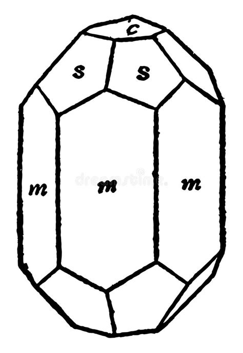 Tetragonal Prism Faces Stock Illustrations 1 Tetragonal Prism Faces
