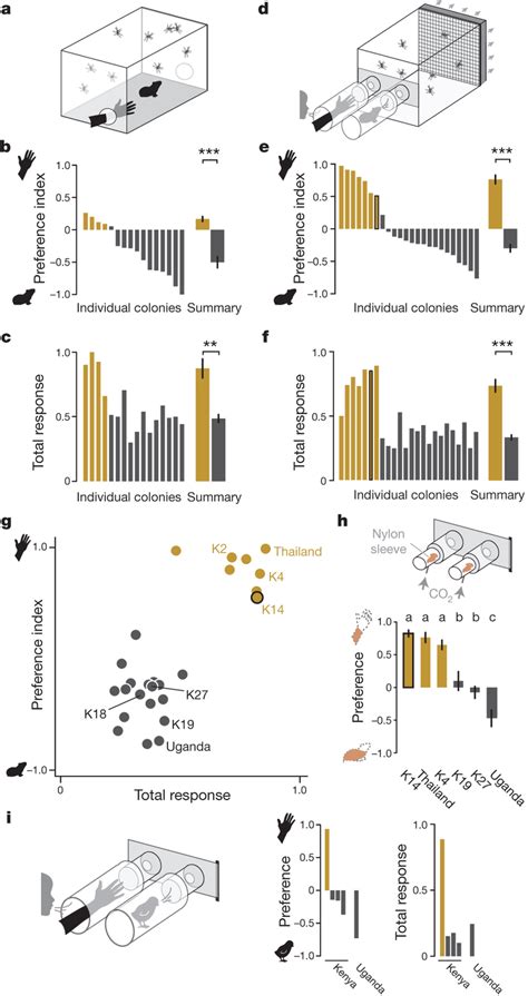 Forest And Domestic Females Differ In Host Preference Ac Biting