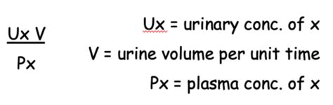 Measurement Of Renal Function Flashcards Quizlet