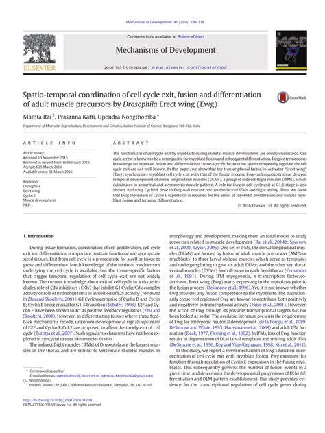 Pdf Spatio Temporal Coordination Of Cell Cycle Exit Fusion And Differentiation Of Adult