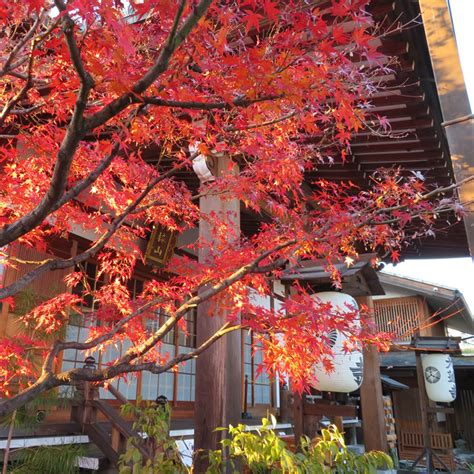 引接山 大蓮寺 安産祈願の寺洛陽八番観音霊場