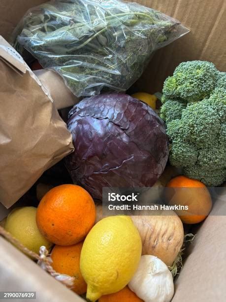 신선한 과일과 채소 크리스마스 상자 Abel Cole 온라인 슈퍼마켓 택배 음식 골판지 상자 글루텐 프리 레몬 오렌지 붉은 양배추 순무 케일 마늘 새의 눈 전망 각도 사진