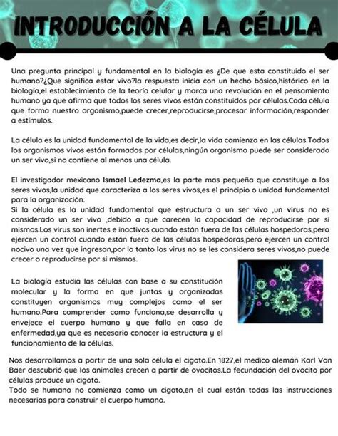 Introducción A La Célula Cyber Student Udocz