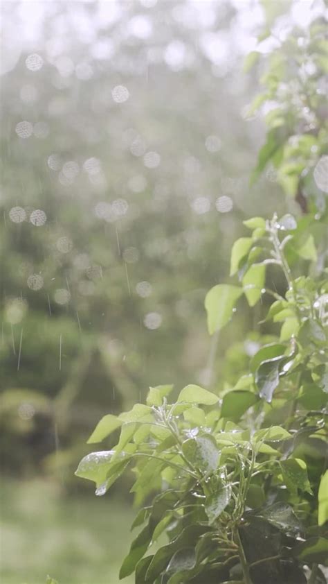 Expert Photo And Video Editing For Stunning Visuals By Gamaeditor Fiverr