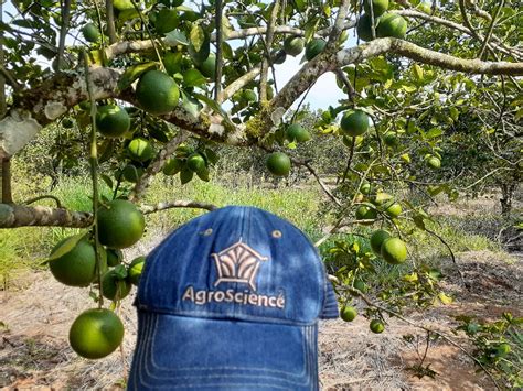 Agroscience La Nutrición Es El único Factor Que Nos Facebook