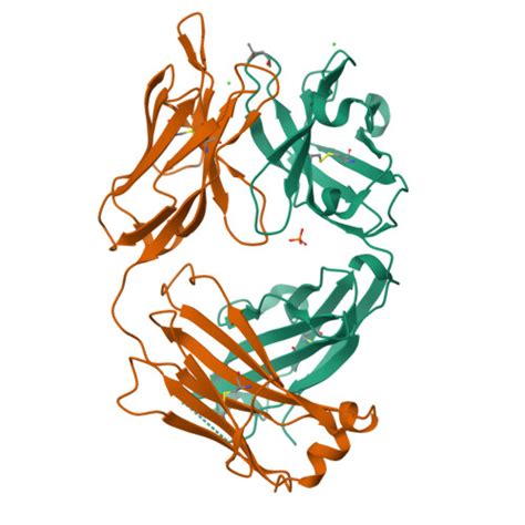 RCSB PDB - 9GWZ: Crystal structure of 23ME-00610 Fab