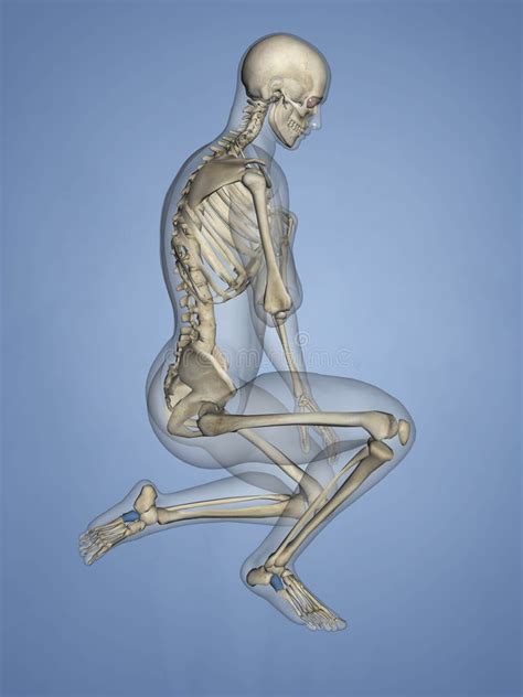 Cuboid 3d Model Stock Illustrations 334 Cuboid 3d Model Stock Illustrations Vectors And Clipart