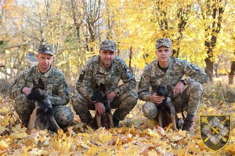 Генеральний штаб ЗСУ On Twitter У Збройних Силах України несуть