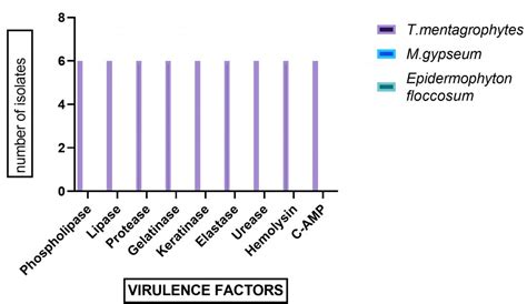 Phenotypic Characterization Of Enzymatic And Non Enzymatic Virulence
