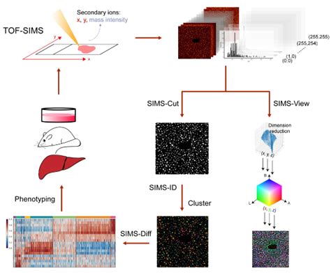 想做空间代谢又有点犹豫？ 博奥晶典空间代谢组项目经验奉上 知乎
