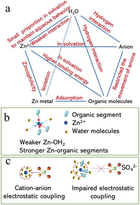 A Diagram Showing The Interactions Of The Main Five Components In