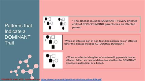 Iv Mendelian Inheritance The Pedigree Analysis Pptx