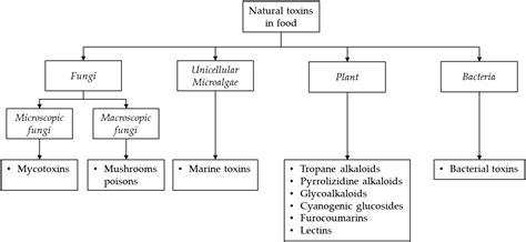Lc Ms Methods For Mycotoxins Detection In Food Products Encyclopedia Mdpi