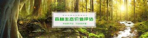 贵州林喜林业调查设计有限公司森林分类区划界定设计调查林业专项核查林业数表编制工程规划设计