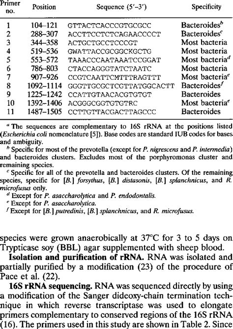 Sequencing Primers For The Bacteroides Subgroupa Download Table