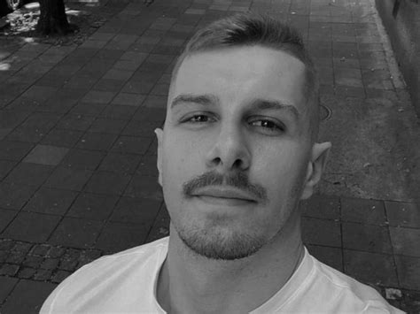 Mihailo Janjušević Posao