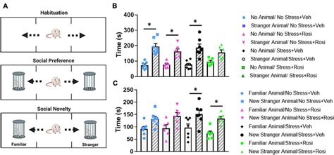 Novelty Seeking Social Paradigm Representative Schematic Of The