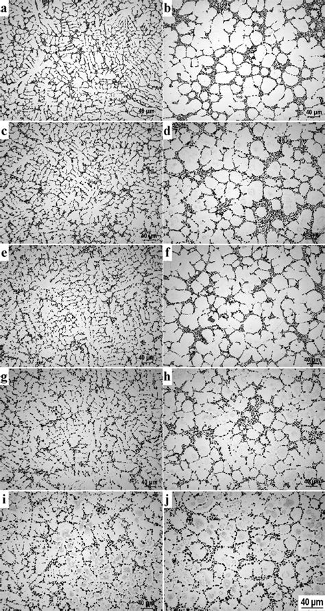 Microstructure Of A C E G I Dendritic And B D F H J Download Scientific Diagram