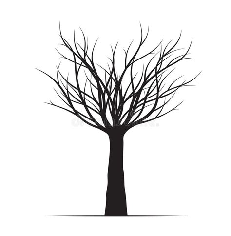 Winter Naked Tree Vector Outline Illustration Stock Vector Illustration Of Drawing Isolated