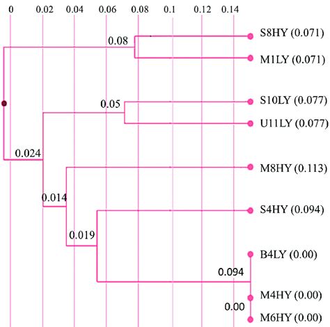 Upgma Dendrogram Of High And Low Yielding Accessions Of B Monnieri Download Scientific Diagram