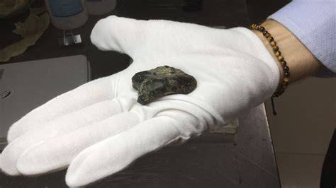 Gigantopithecus Ainda Vivo