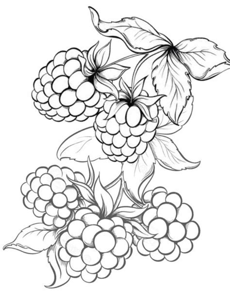 Raspberry Tattoo Coloring Page