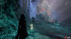 Nocos Hut Clair Obscur Expedition 33 Database Gamer Guides®