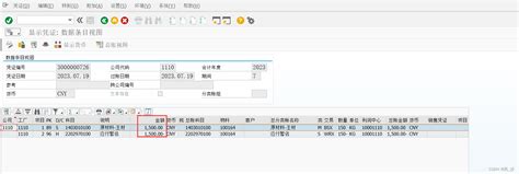 Sapmm模块 双计量单位使用功能sap 双计量单位 Csdn博客