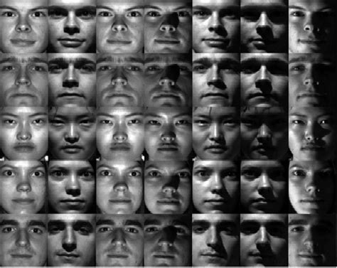 Examples Of Images From The Extended Yale B Face Database Download Scientific Diagram