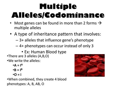 PPT NON MENDELIAN INHERITANCE PATTERNS Modes Of Inheritance H