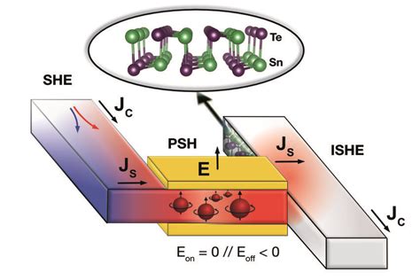 Model Of Spin Transistor Based On Two Dimensional Snte The Spin Download Scientific Diagram