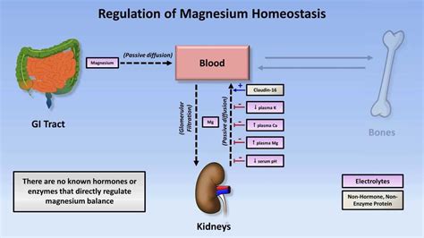 Health Related Topics Medical Biochemistry Tips 5 Magnesium And Calcium