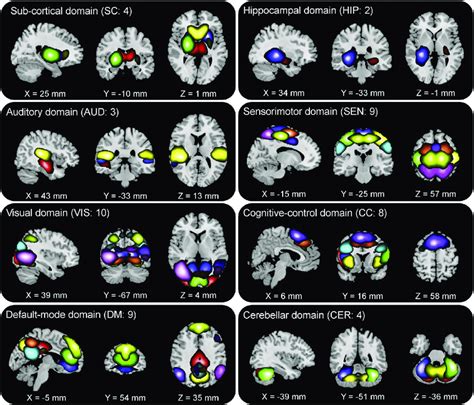 Spatial Maps Sms Of The 49 Identified Intrinsic Connectivity Networks