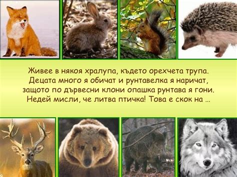 Животните в гората