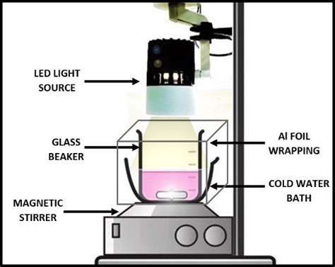 Photo Reactor Setup Download Scientific Diagram