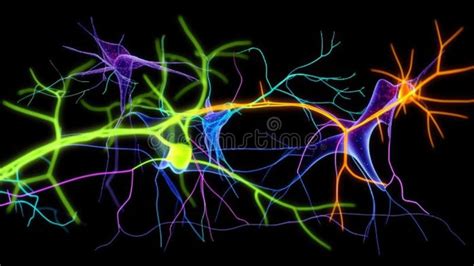 Neurons In The Brain Firing Stock Illustration Illustration Of Lightning Shine 275061105