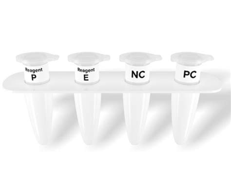 SmartAmp Reagent Test For Detection Of SARS CoV 2 Africa Medical Supplies Platforms