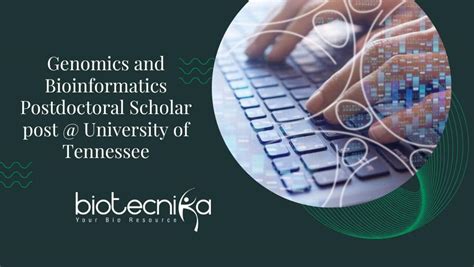 Genomics And Bioinformatics Postdoc Scholar University Of Tennessee