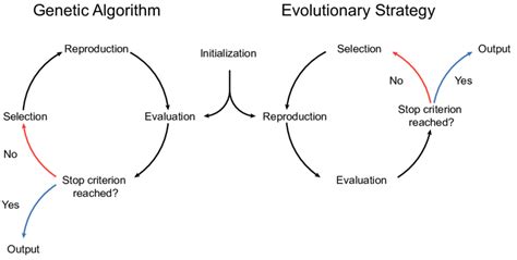 2 Basic Optimization Cycle Of Genetic Algorithms And Evolutionary Download Scientific Diagram