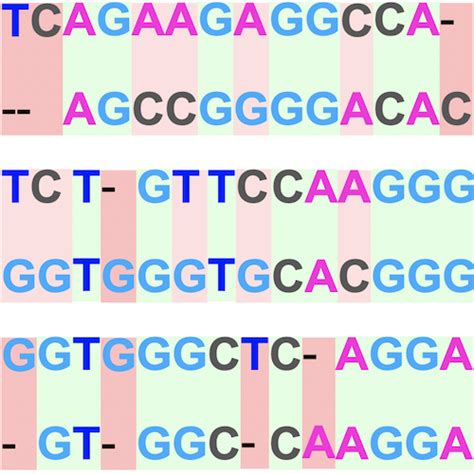 Biological Sequences Of Insulin Across Species Wolfram Language Example Repository