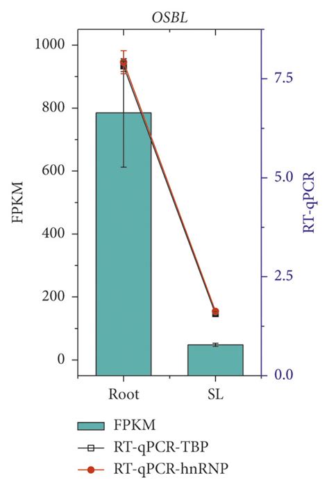 Rt Qpcr Validation Of Relative Expression Levels Of Six Putative Key Download Scientific