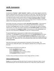 Lab 8 Gymnosperms Docx Lab 8 Gymnosperms Lab 8 Gymnosperms