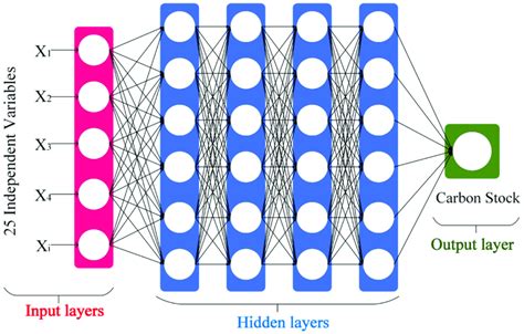 scheme of a deep neural network framework including input layers