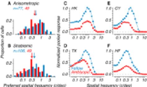 Spatial Frequency Tuning Of Single Units And Neuronal Populations Download Scientific Diagram