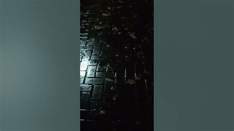 Прогулка под дождём Youtube