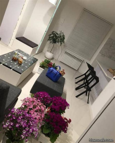 نگاهی به حیاط باصفا و دلباز خانه زیبای بهاره افشاری خونه نگو باغ بگو عکس