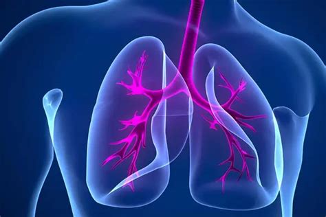 Doctor Discussion Guide Lung Nodules Nova Pulmonary Critical Care