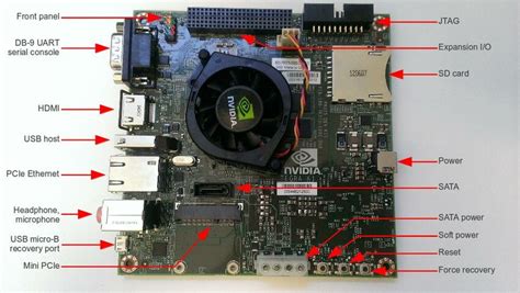 Labeled Diagram Of Nvidia Jetson Tk1 Gpu Board Download Scientific